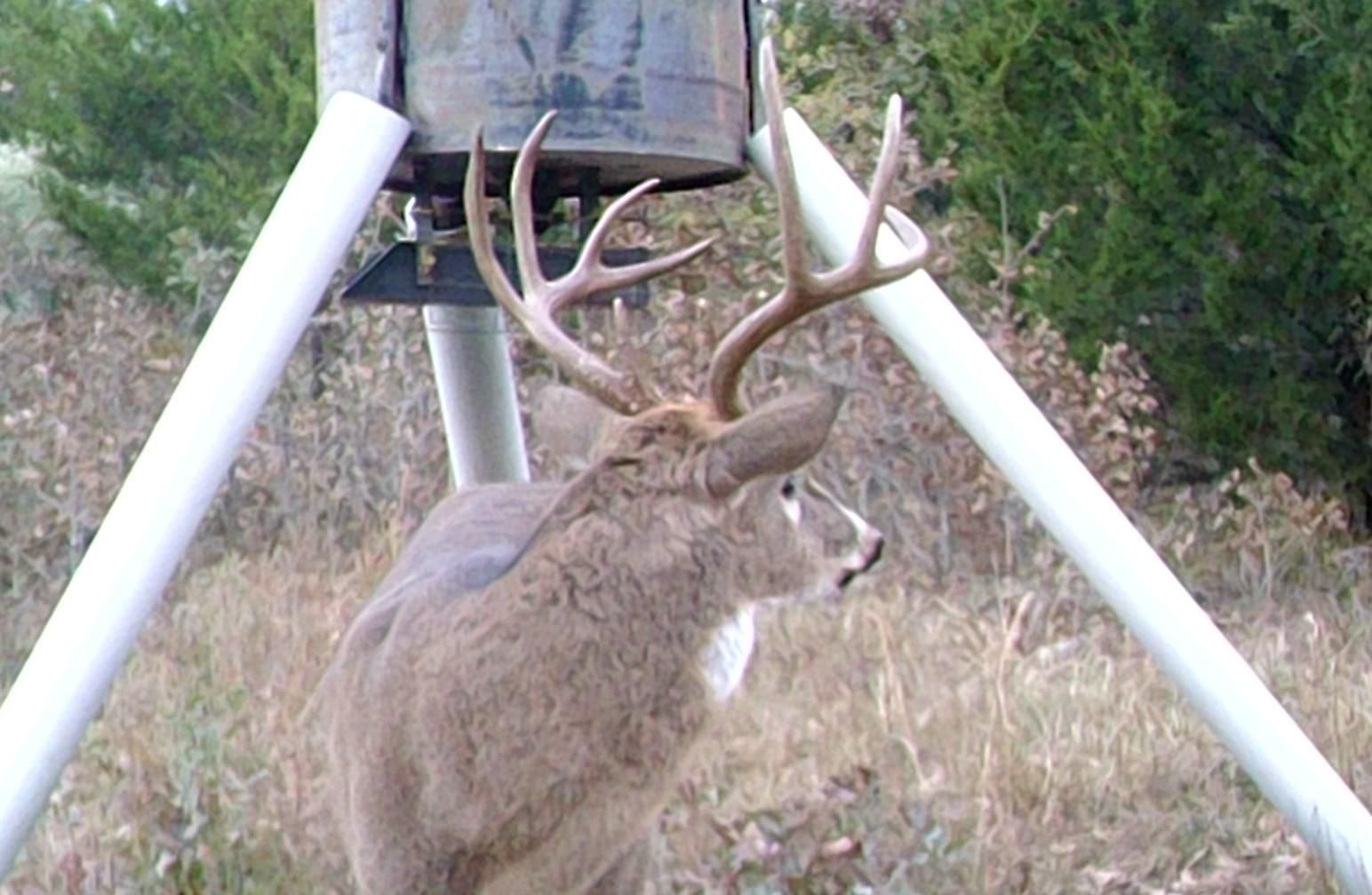 80 acres in Antlers, OK, 74523 | LandWatch