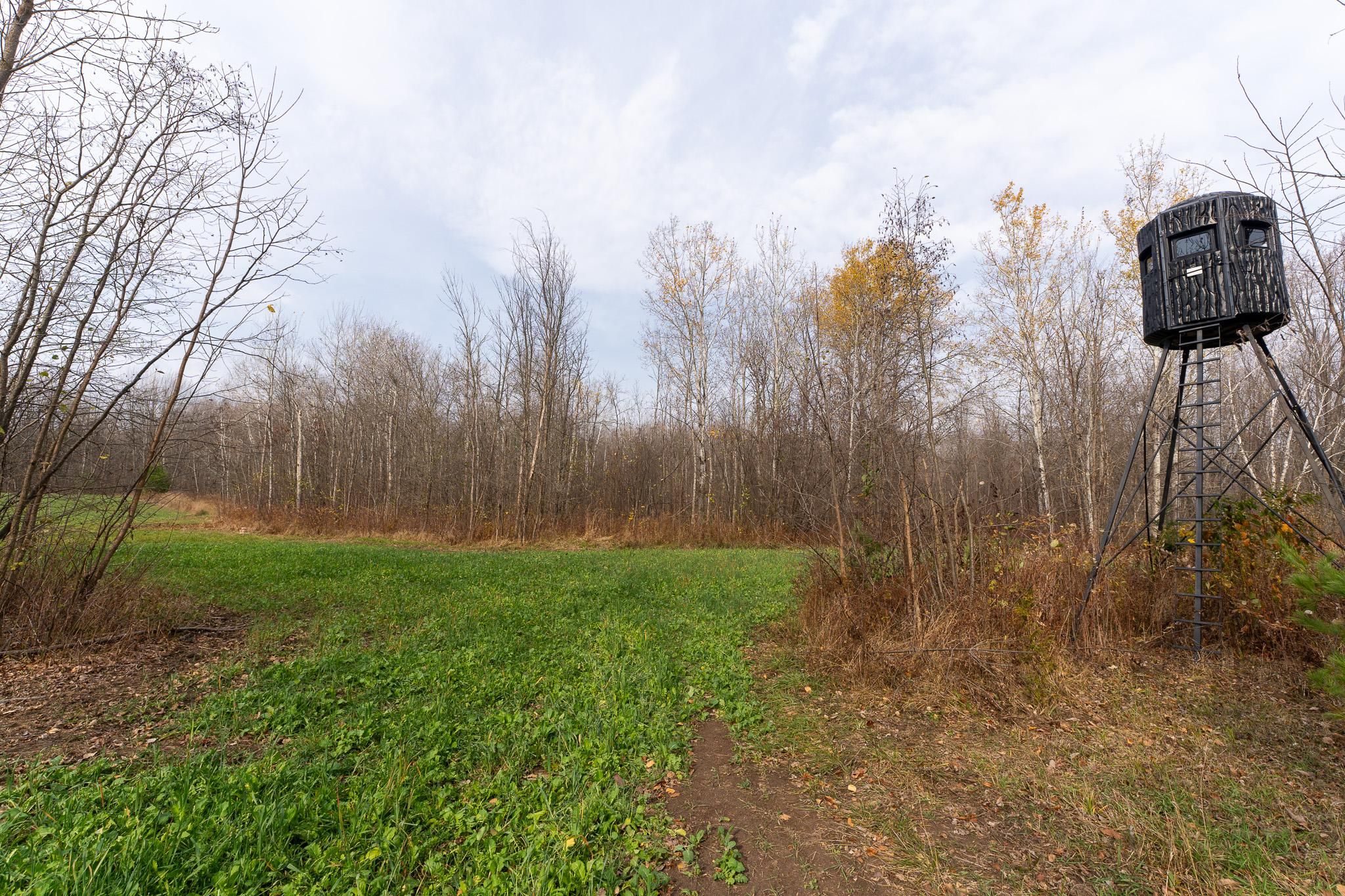 23920 Lake Avalon Rd, Hillman, MI 49746 | LandWatch