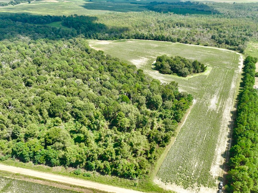 Watson Road, Lot#WP001, Pineview, GA 31071 | LandWatch