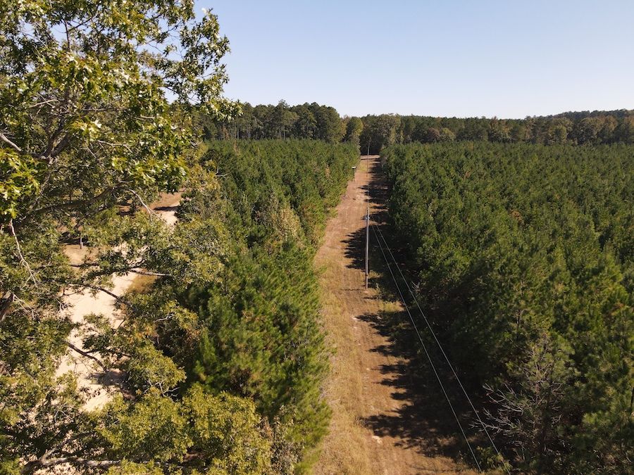 Bradley 74 Road, Lot#WP001, Banks, AR 71631 | LandWatch