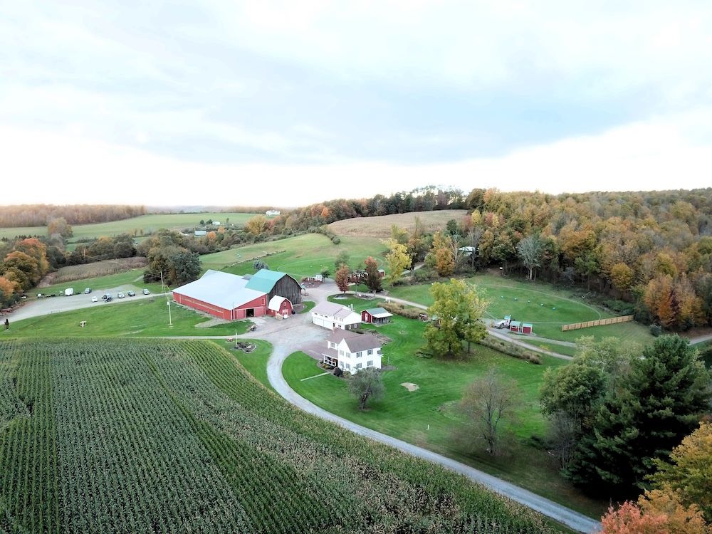 619 Leon Brown Road, Middlebury Center, PA 16935 | LandWatch