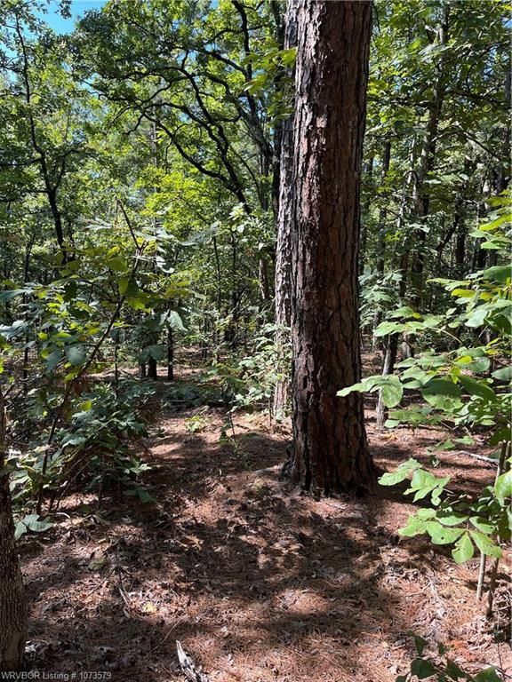 TBD Rural Latimer, Panola, OK 74559 | MLS: 1076178 | LandWatch