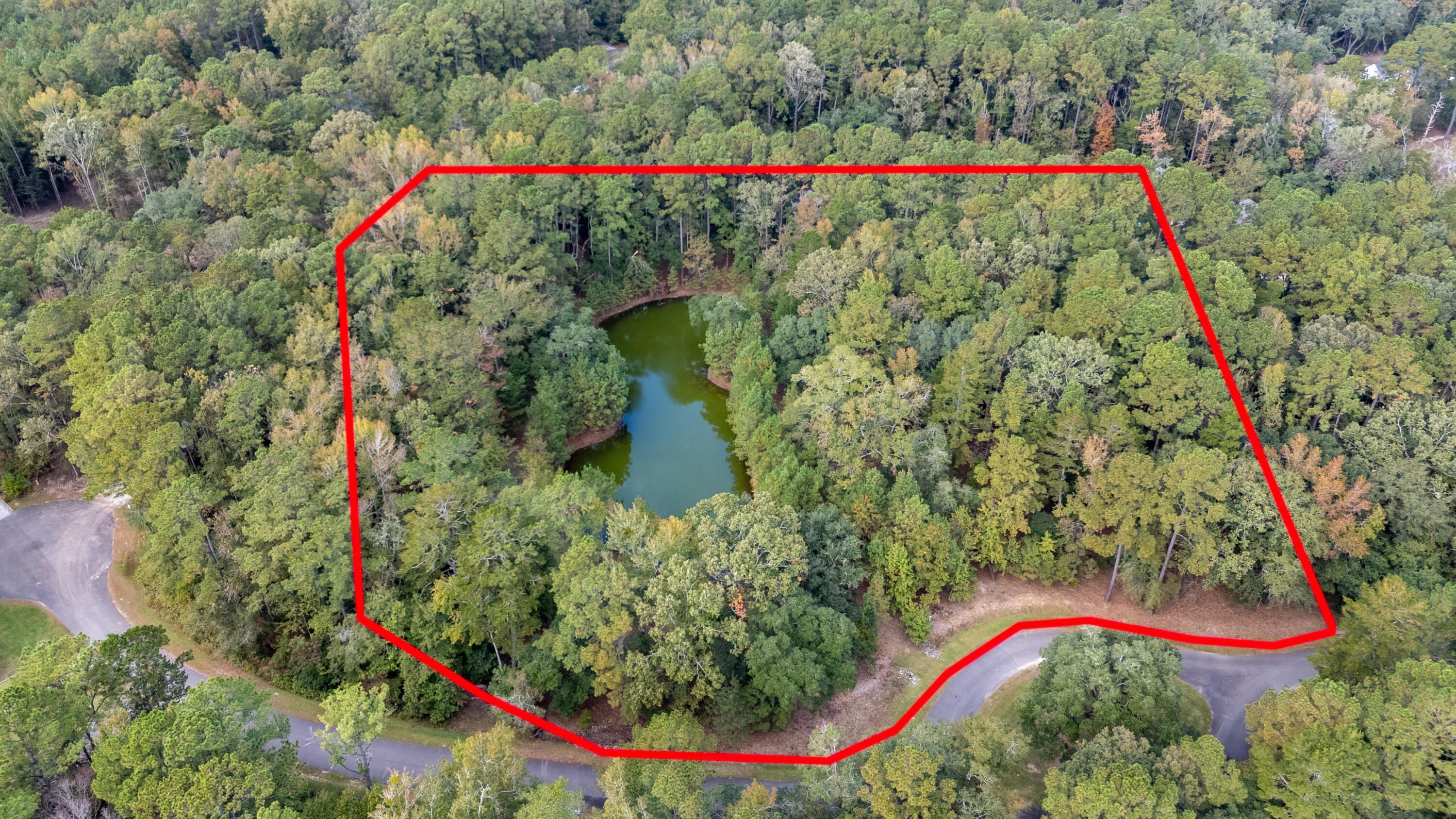 6280 Button Bush Drive, Ravenel, SC 29470 | MLS: 24027895 | LandWatch