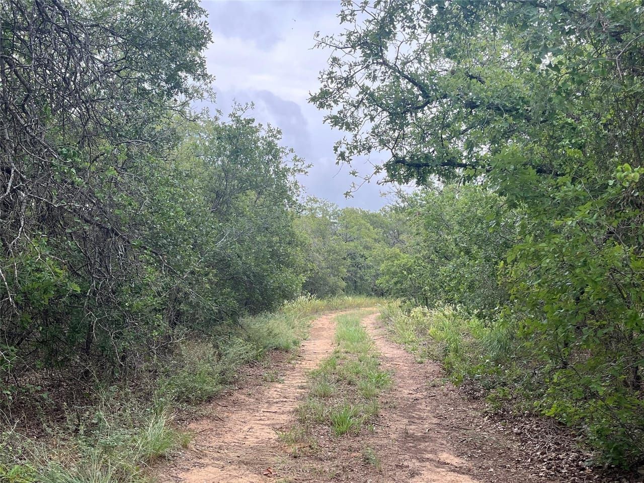 0000 County Road 209, Cisco, TX 76437 | MLS: 20681055 | LandWatch