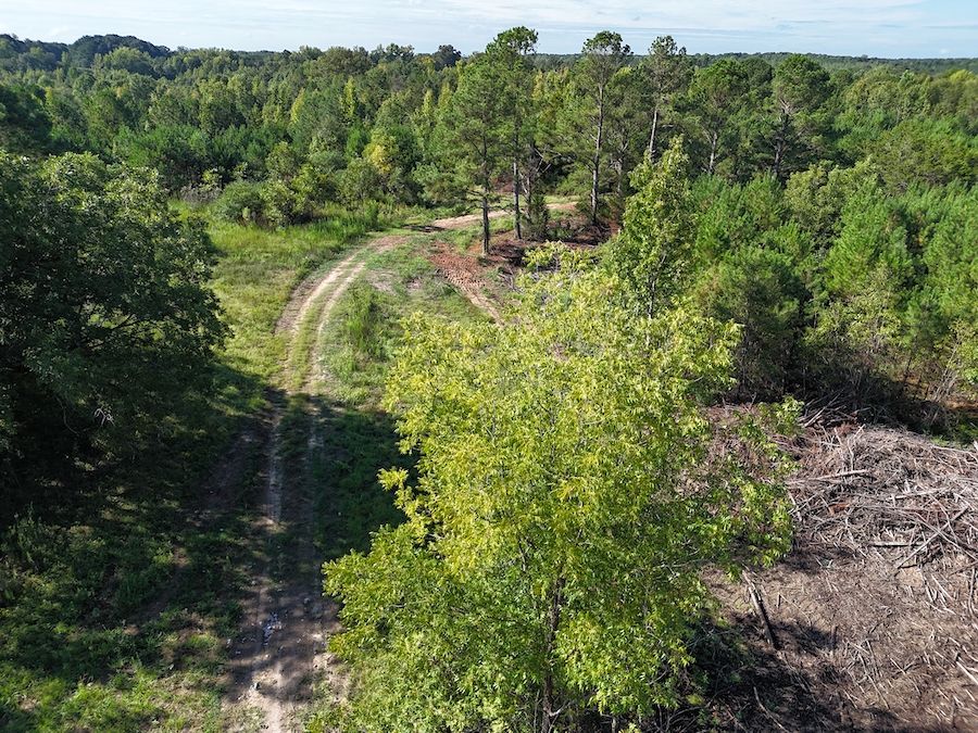 2019 County Rd 40, Lot#WP001, Camp Hill, AL 36850 | LandWatch