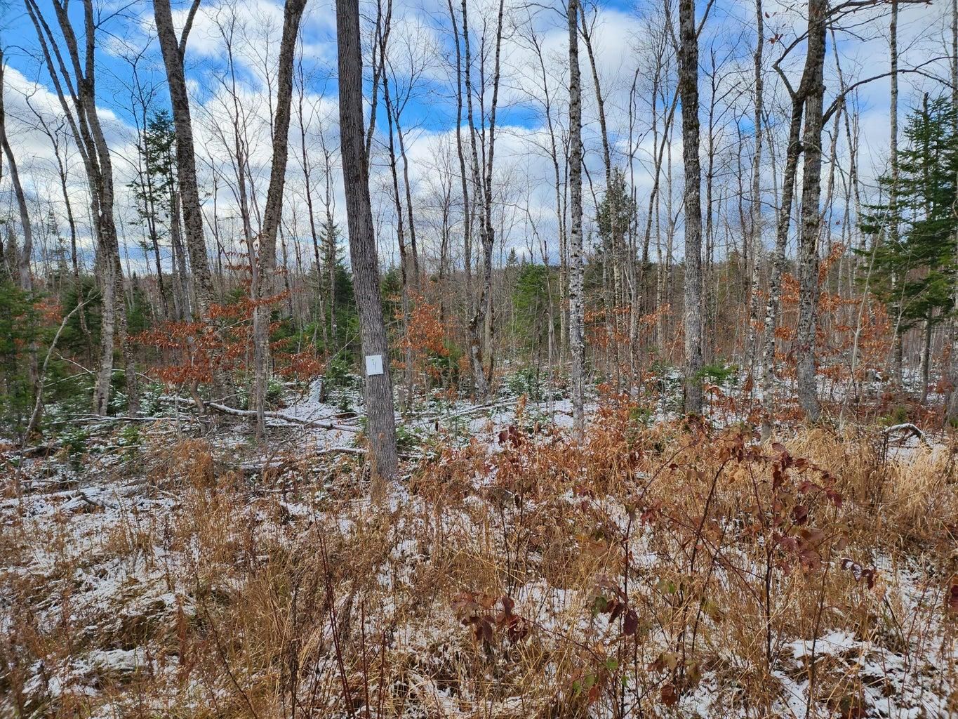 lot 4 Greenleaf Brook Acres, Amity, ME 04471 | MLS: 1608667 | LandWatch
