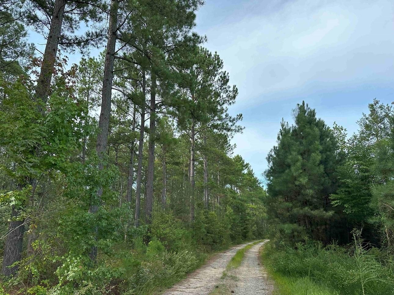 419.7 acres in Hustle, VA, 22476 | MLS: B775 Cherry Tree Jacks Fork-1 ...