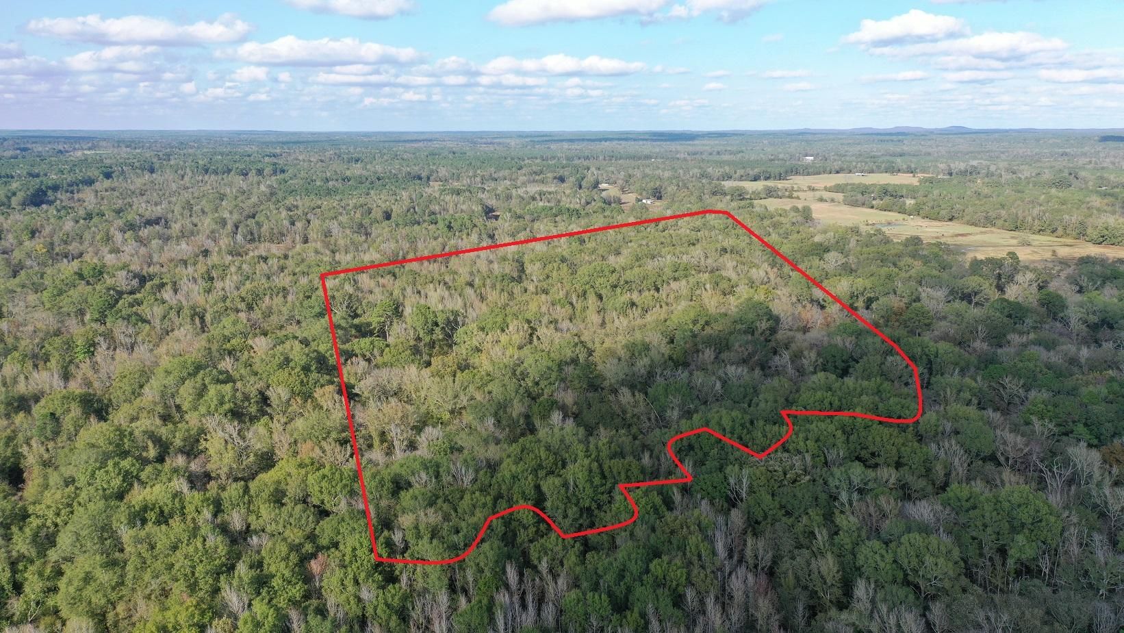 County Road 2925, Hughes Springs, TX 75656 | LandWatch