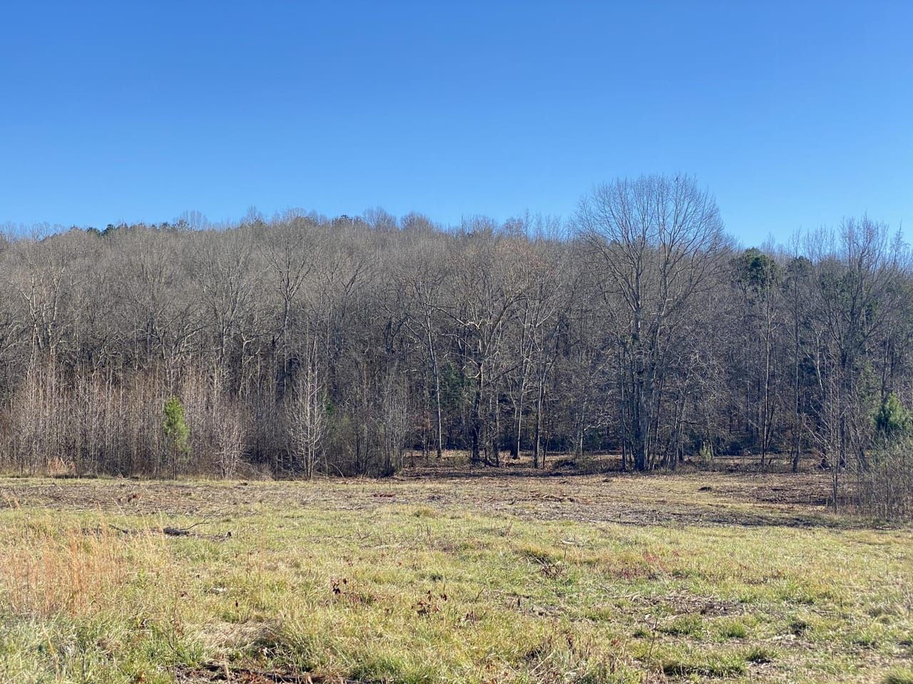 000 Mountain Star Rd, Littleville, AL 35654 | LandWatch
