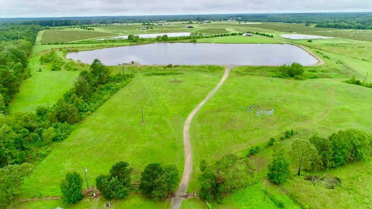 194 CR 3221, DeBerry, TX 75639 | LandWatch