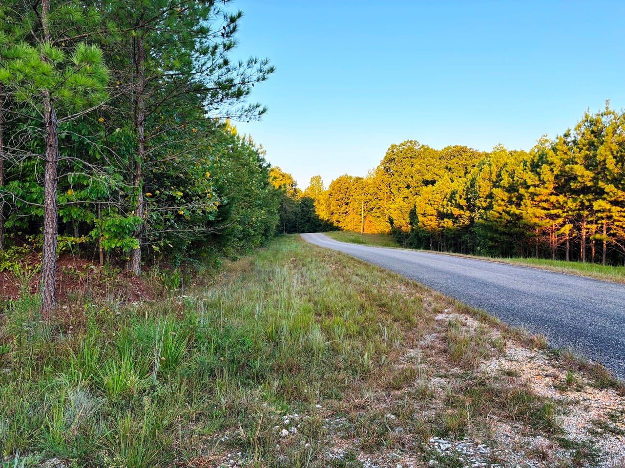 000 White Pike, Cherokee, AL 35616 | LandWatch
