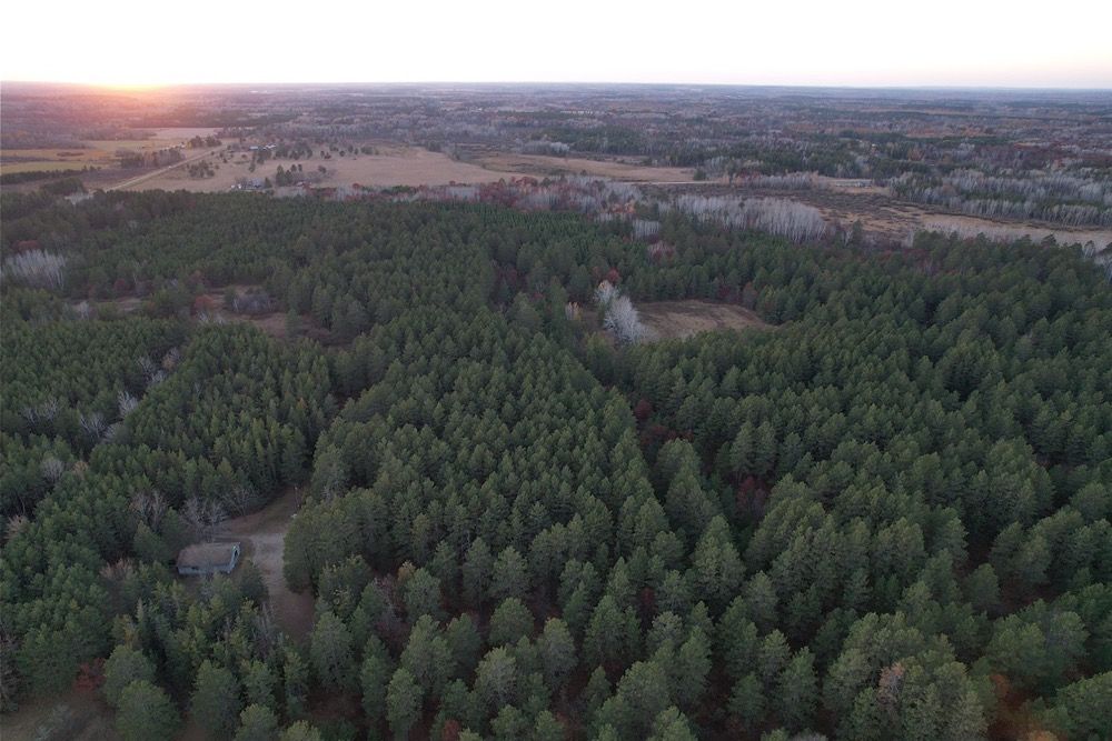 17104 300th St, Sebeka, MN 56477 | LandWatch