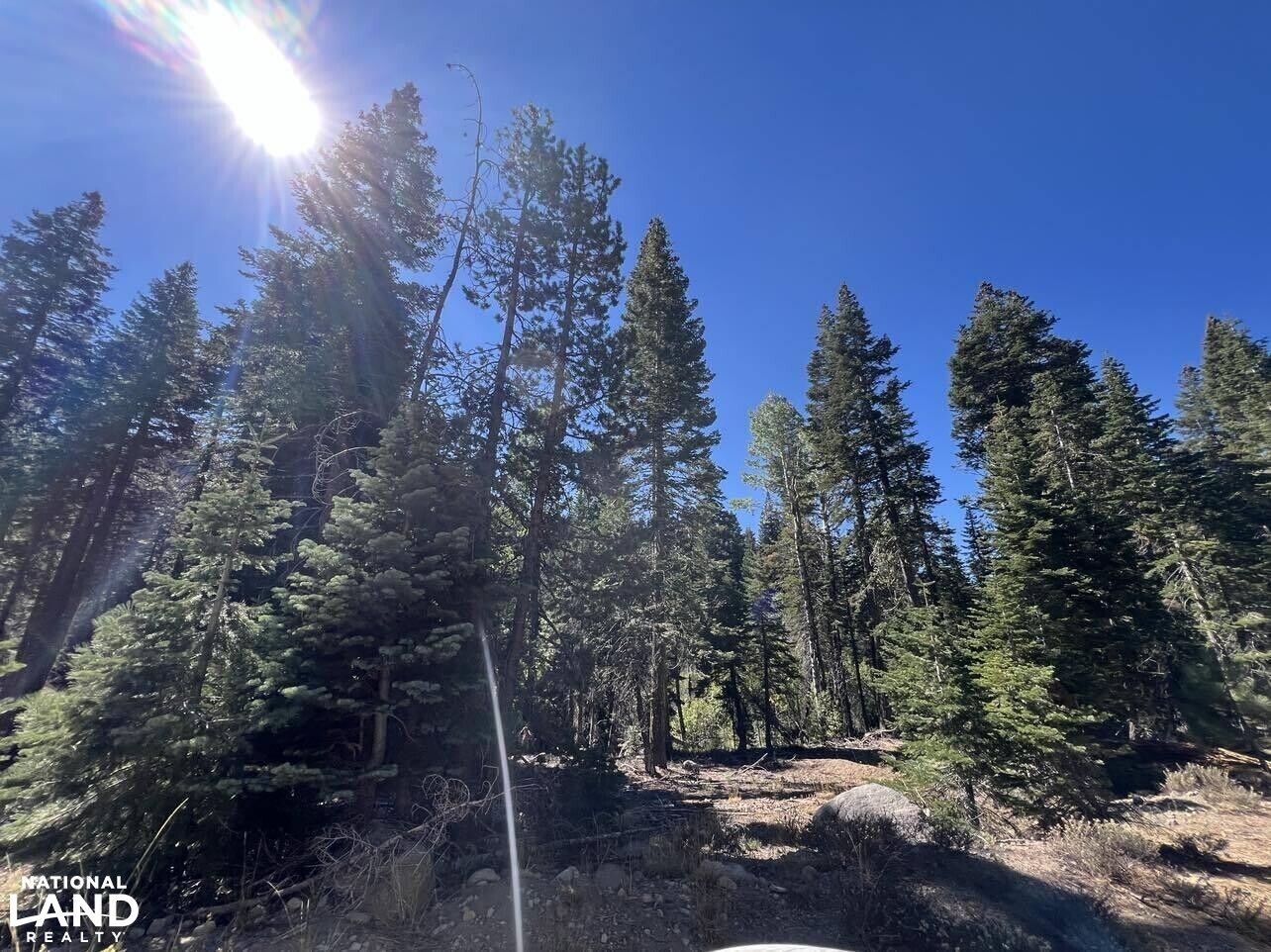 0000 Logging Road, Viola, CA 96088 | LandWatch