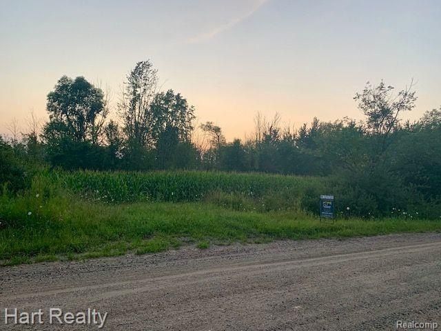 00 State Road, Applegate, MI 48401 | MLS: 20240081930 | LandWatch