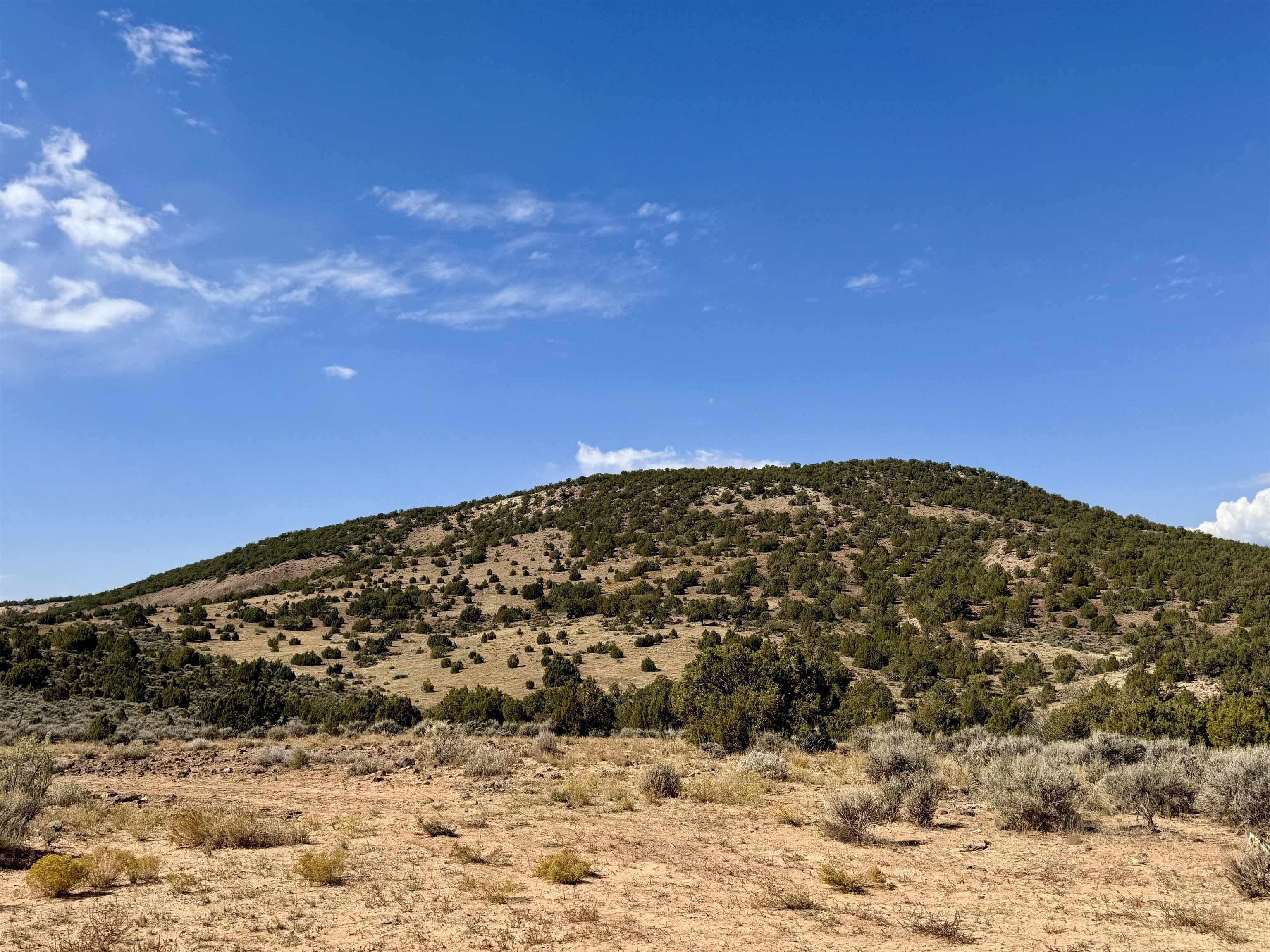 Tbd Horse Canyon Road, De Beque, CO 81630 | MLS: 20245096 | LandWatch