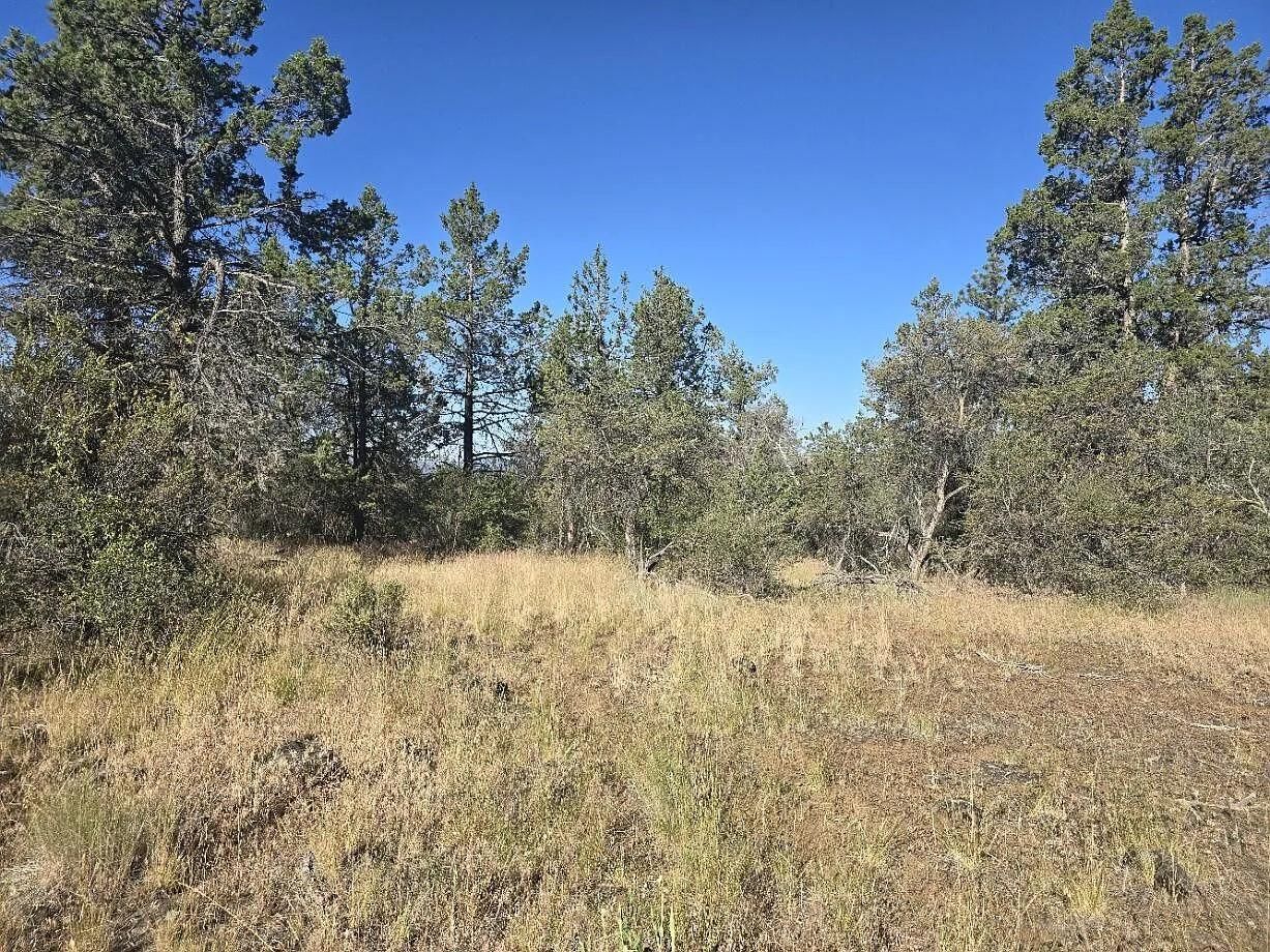 2.68 acres in Bonanza, OR, 97623 | LandWatch