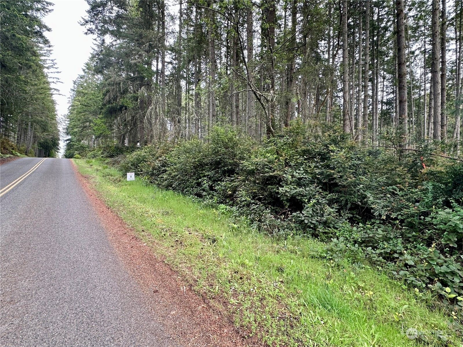 12020 Yoman Road, Anderson Island, WA 98303 | MLS: 2240059 | LandWatch