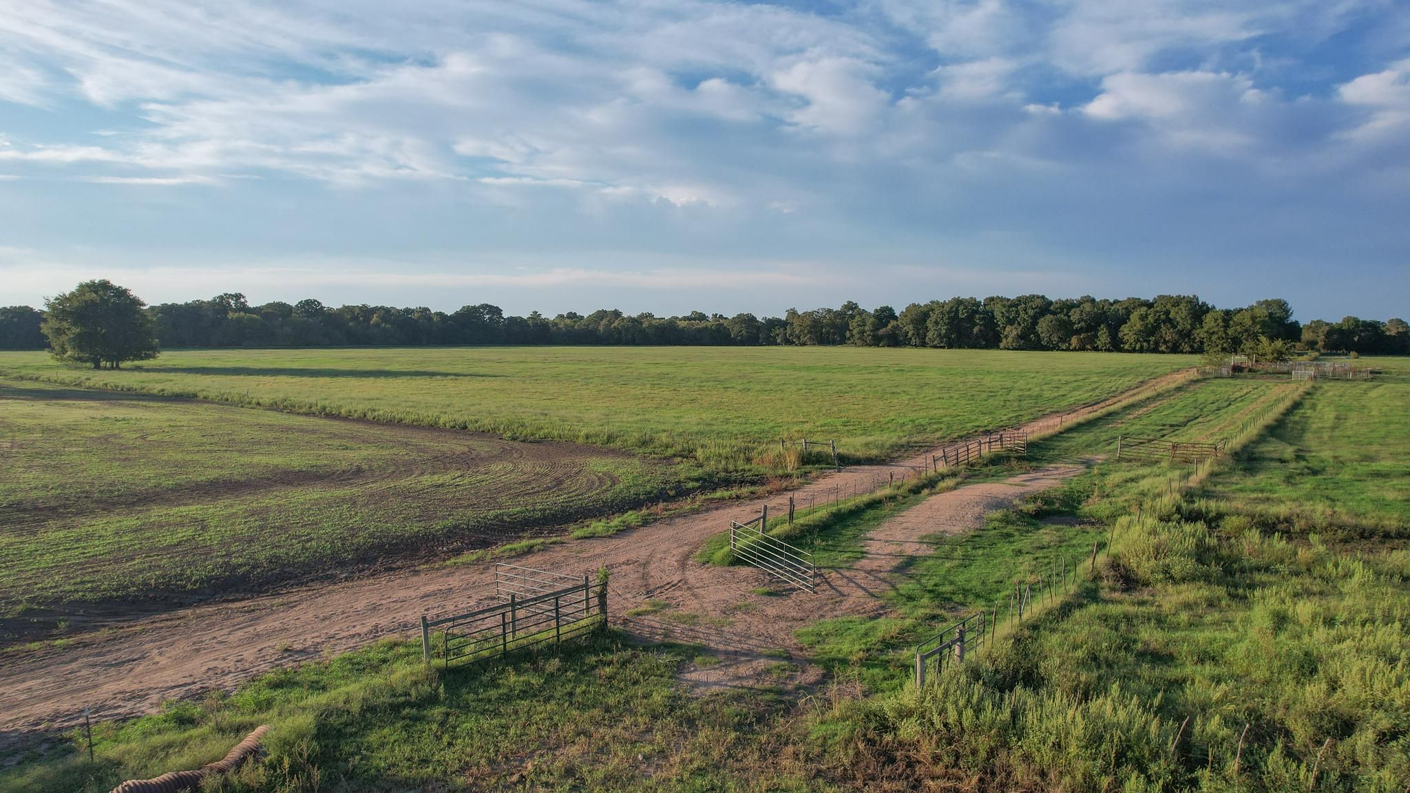 TBD LR 21, Ashdown, AR 71822 | LandWatch