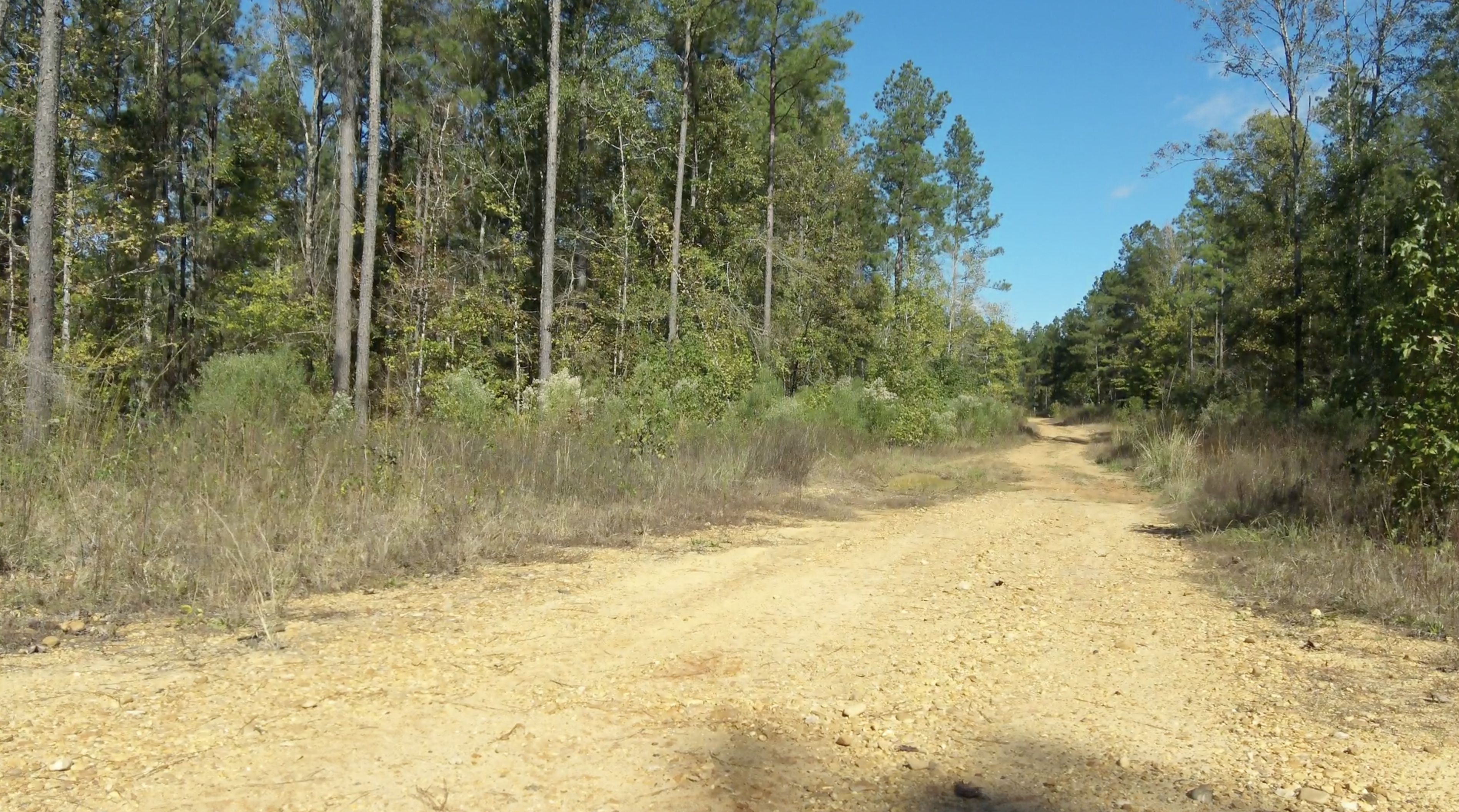 65 acres in Manifest, LA, 71343 | LandWatch