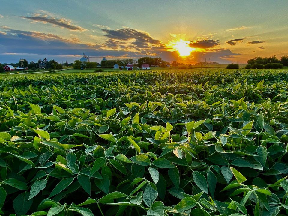 290th Street, Rippey, IA 50235 | LandWatch