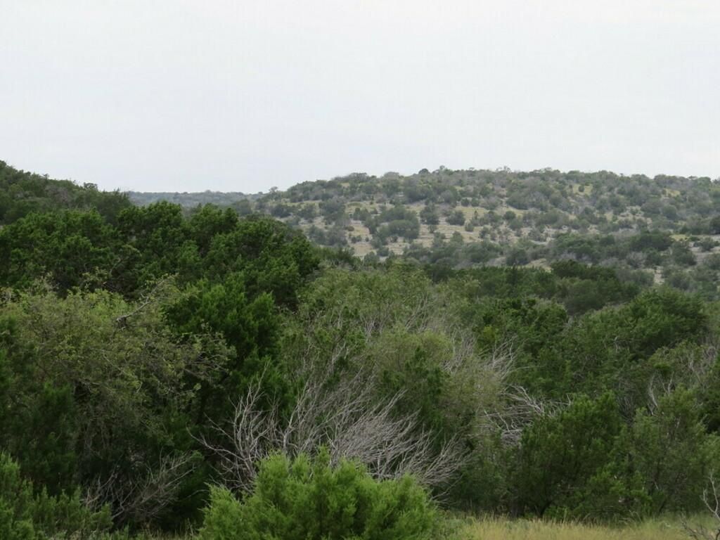 110.06 acres in Juno, TX, 78840 | MLS: Rolling hills, aoudad, axis ...