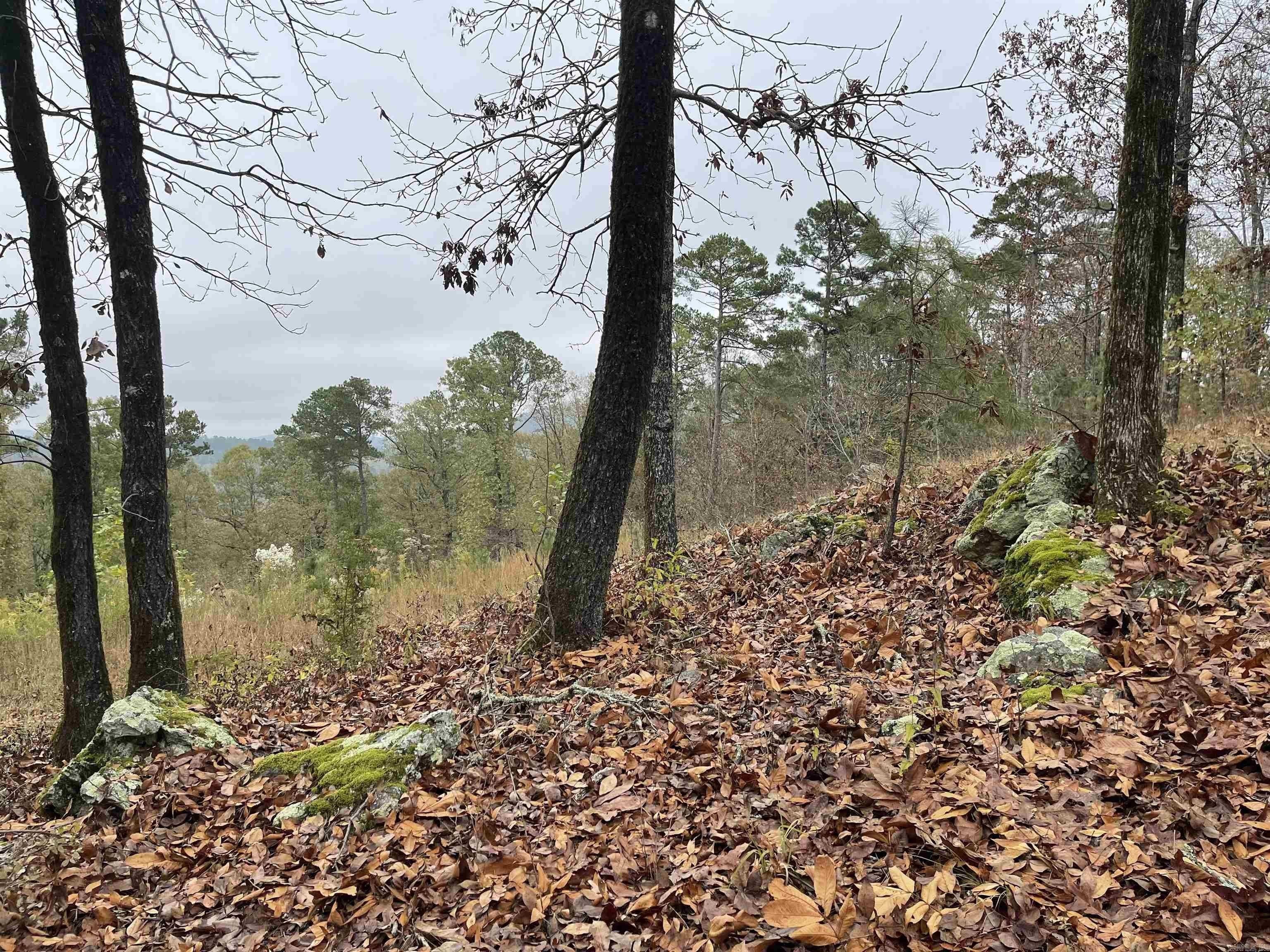 4001 Ridgefield Lane, Little Rock, AR 72223 | MLS: 24041248 | LandWatch