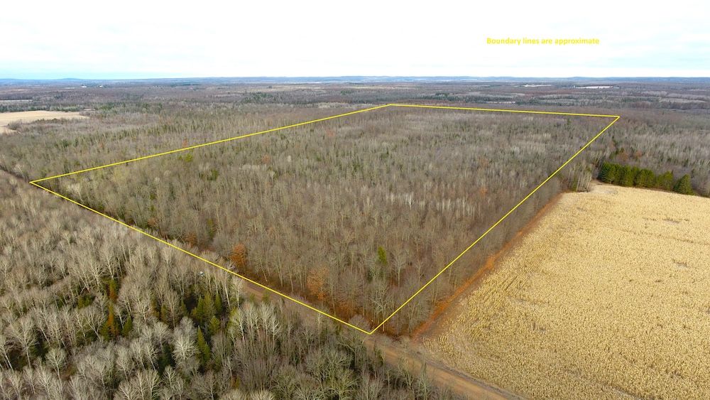 1st Ave, Gleason, WI 54435 | LandWatch