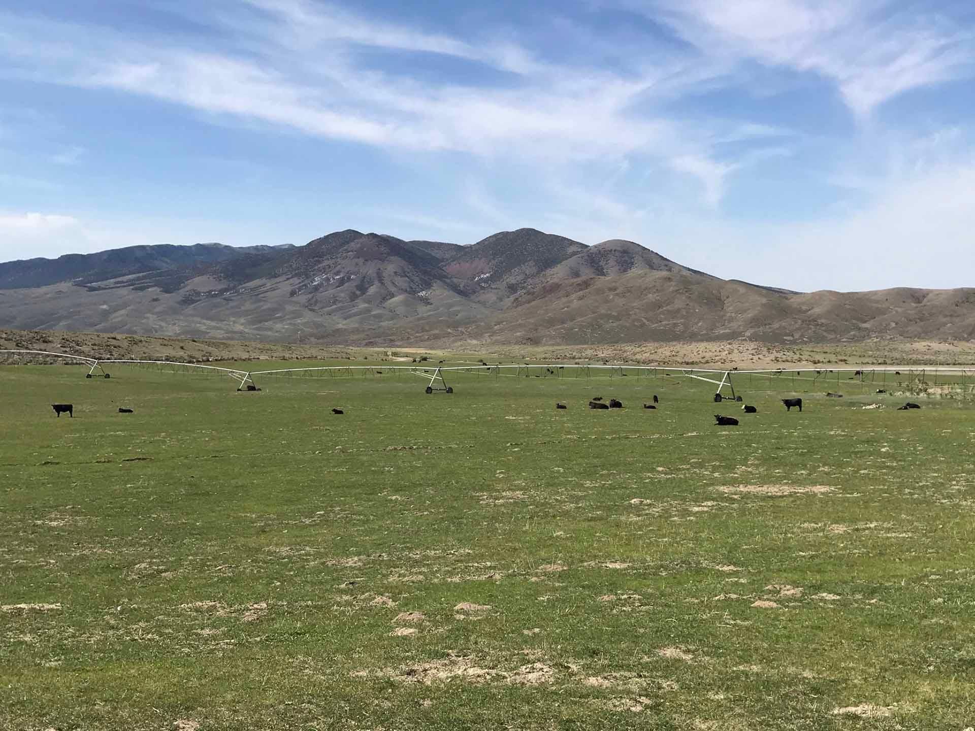 3600 South, Malta, ID 83342 | LandWatch