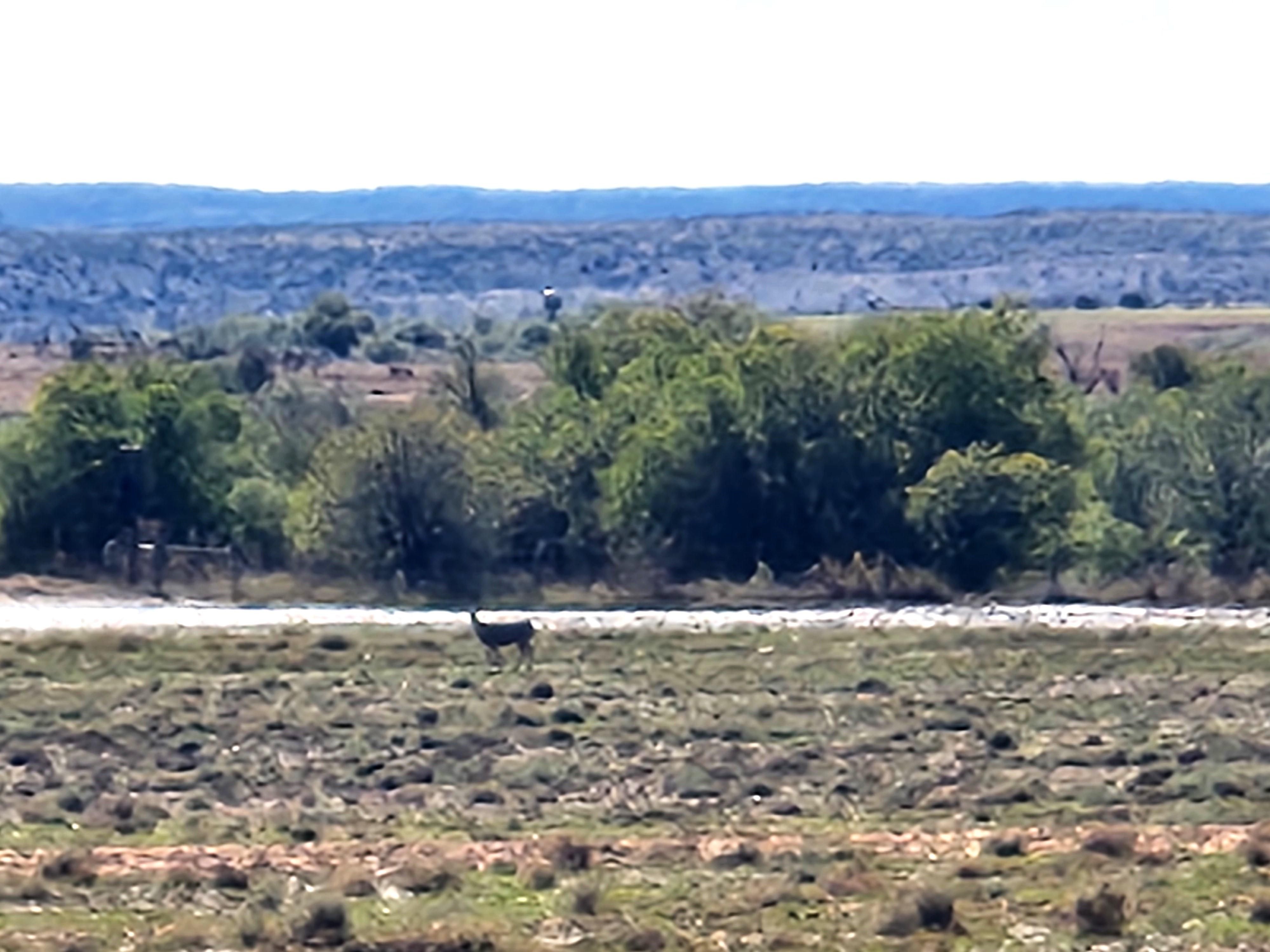 1277 County Road 184, Cee Vee, TX 79223 | LandWatch