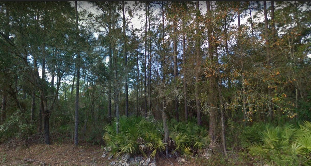 Steven Dr, Interlachen, FL 32148 | MLS: PutnamFL-02102440752230-.30 AC ...