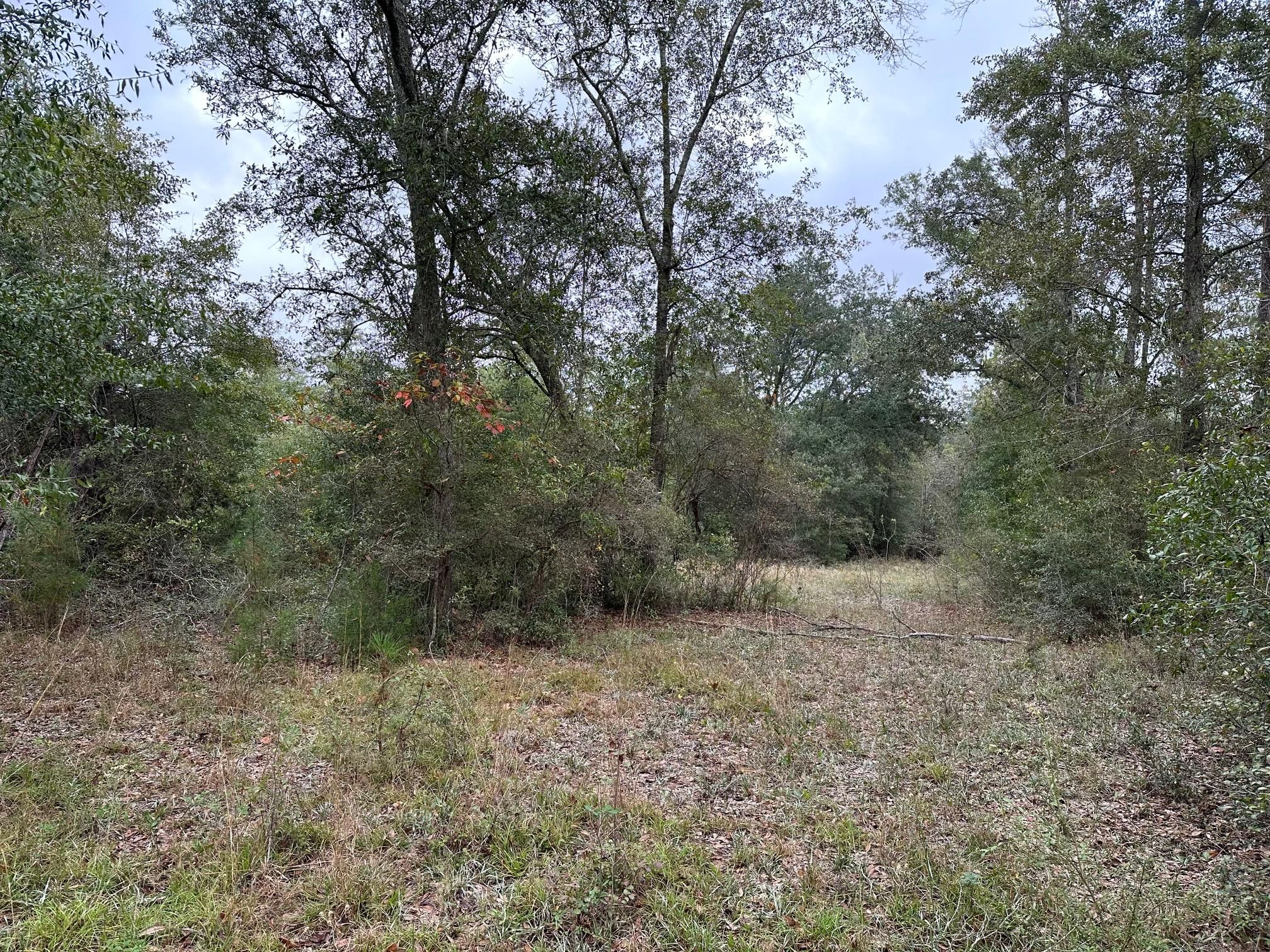 Baxter Rd, Malone, FL 32445 | MLS: 765096 | LandWatch