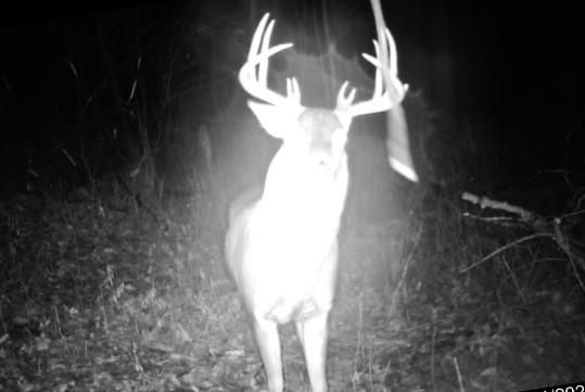 S2318 County Highway 35, Cochrane, WI 54622 | MLS: 6489867 | LandWatch