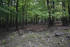 Grandview Circle, Traphill, NC 28685 | MLS: 1145689 | LandWatch