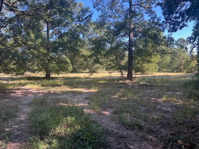 Galloway Road North, Leggett, TX 77351 | MLS: 47672906 | LandWatch