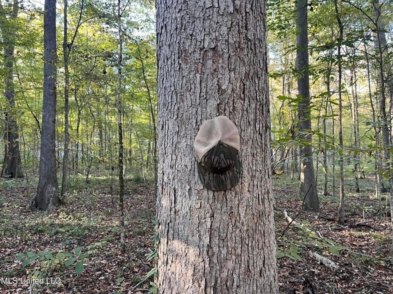 Percy Davis Road, Bolton, MS 39041 | MLS: 4096427 | LandWatch