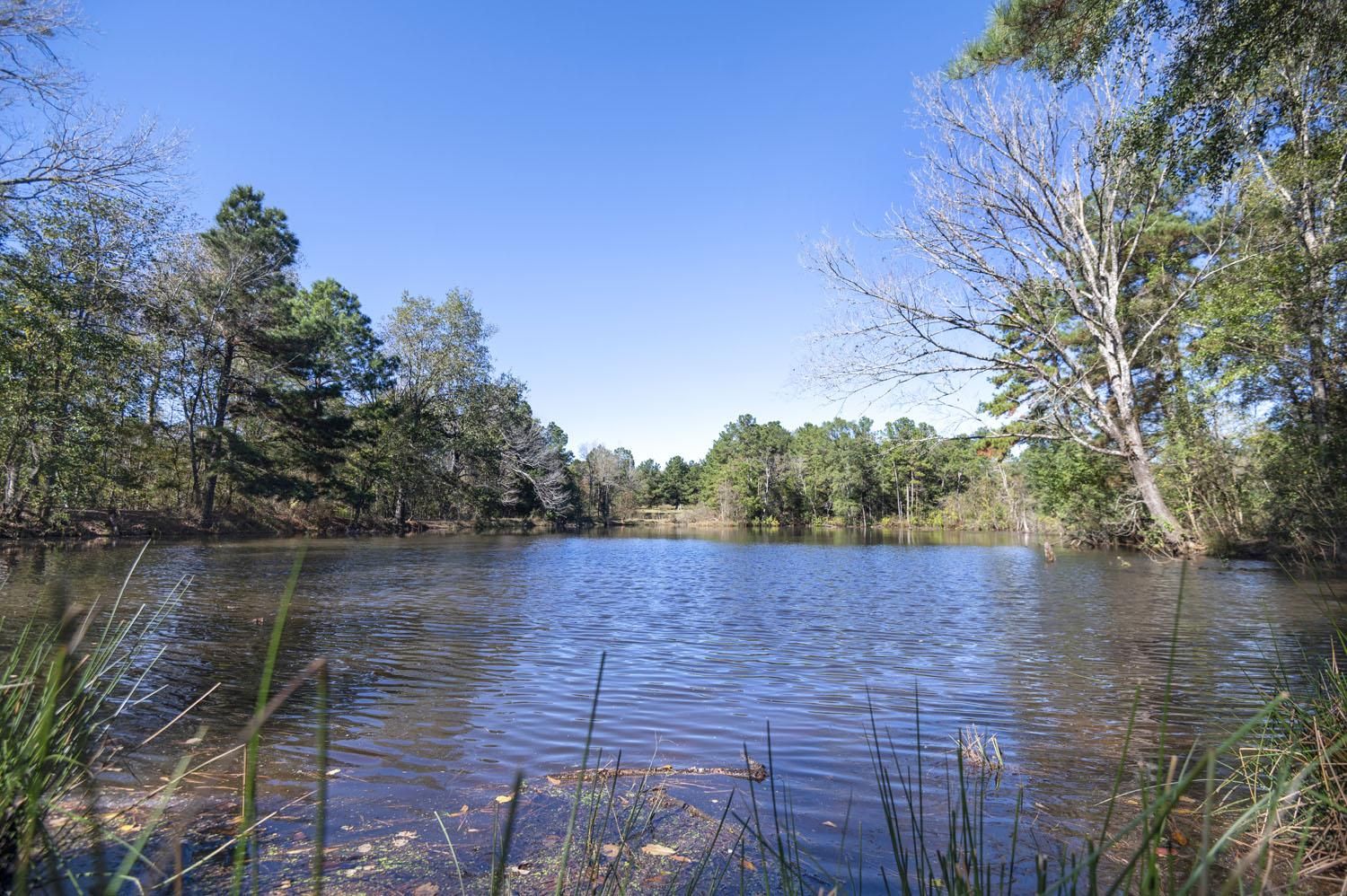 277 County Road 4192, Timpson, TX 75975 | MLS: LA22401639A | LandWatch