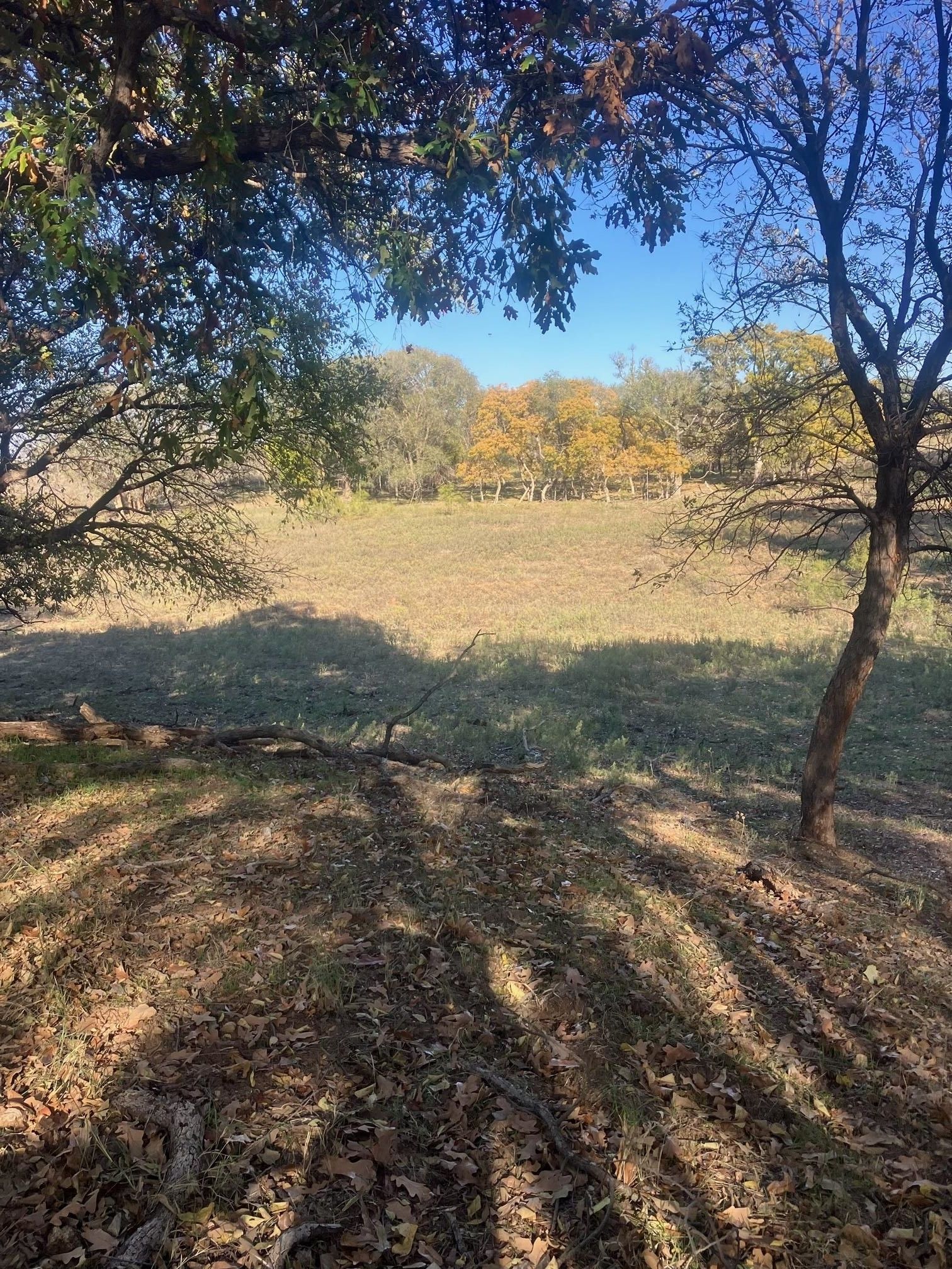320 acres in Quail, TX, 79251 | LandWatch