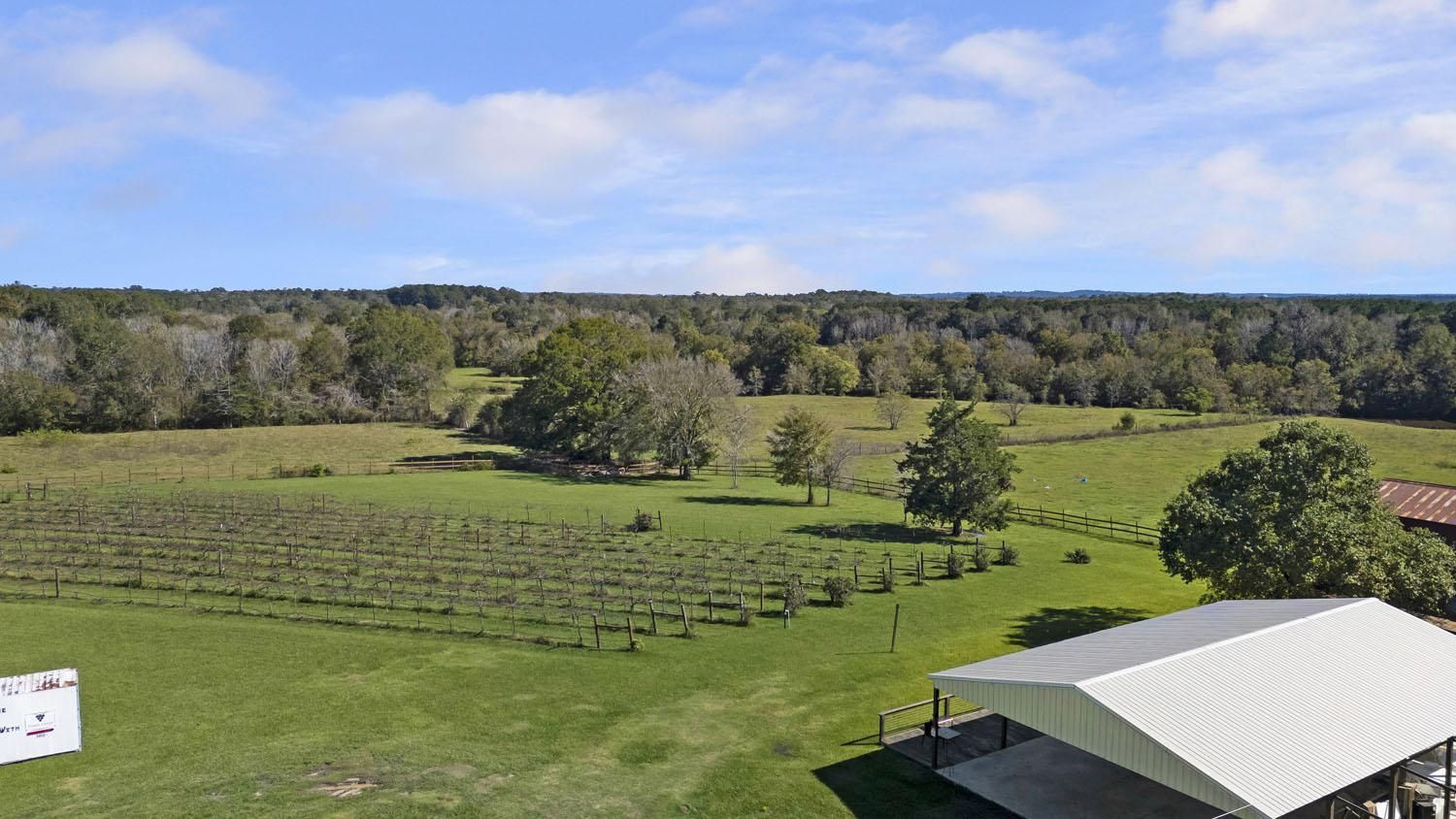 207 Dickens Ranch Road, Livingston, TX 77351 | MLS: 5607996 | LandWatch