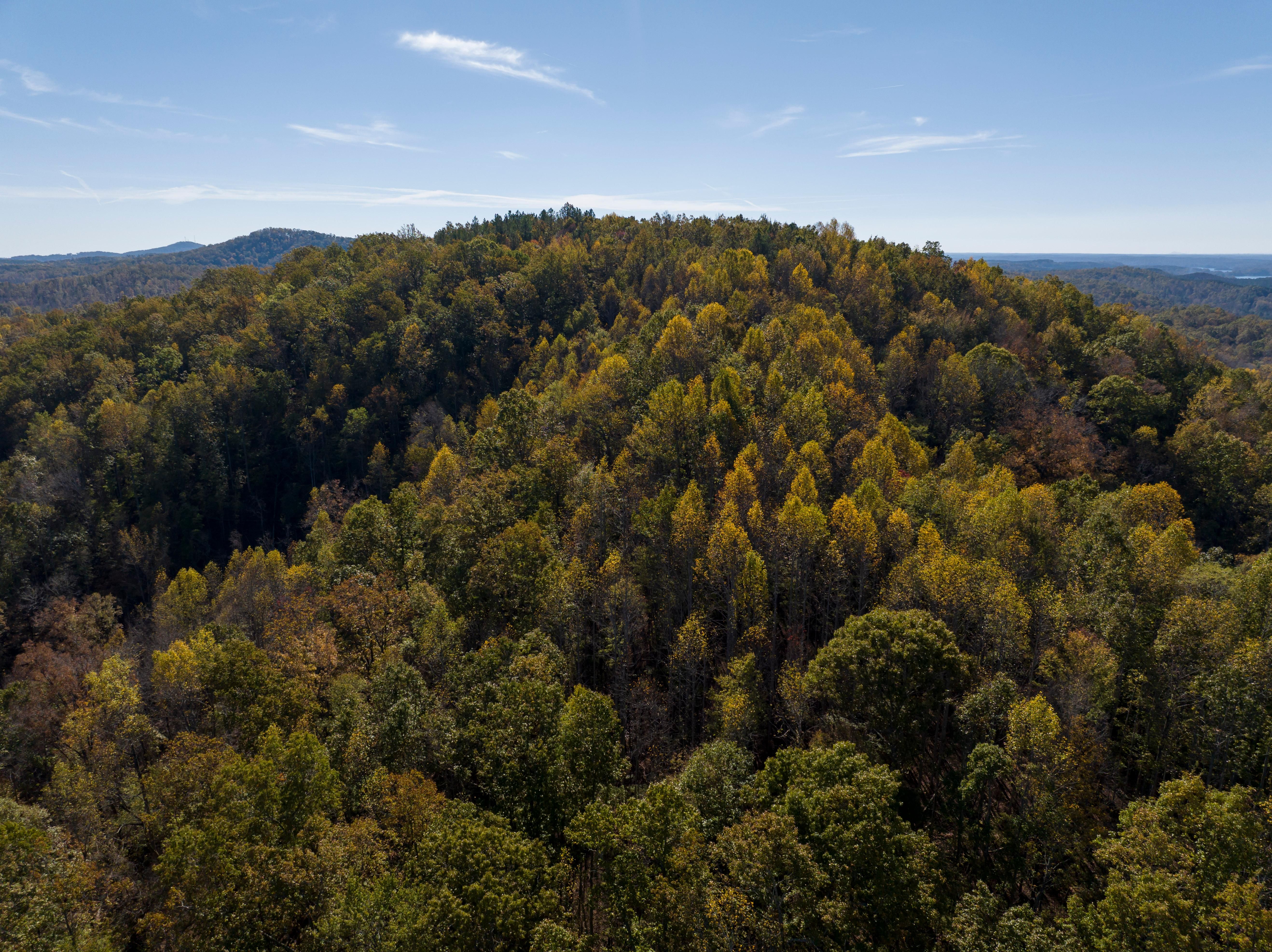 Shady Grove Road, Pickens, SC 29685 | LandWatch
