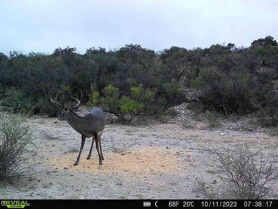 602.94 acres in Langtry, TX, 78871 | LandWatch