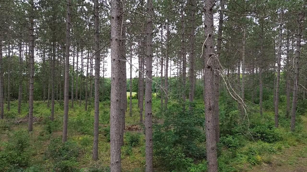 294.94 acres in Spooner, WI, 54801 | MLS: 1584575 | LandWatch