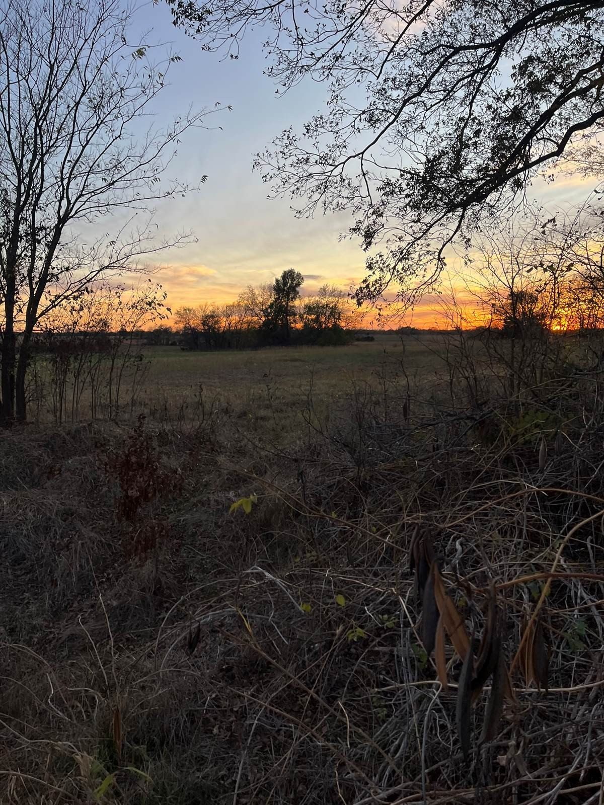 511 North 50th Street, Walnut, KS 66780 | MLS: 2519187 | LandWatch