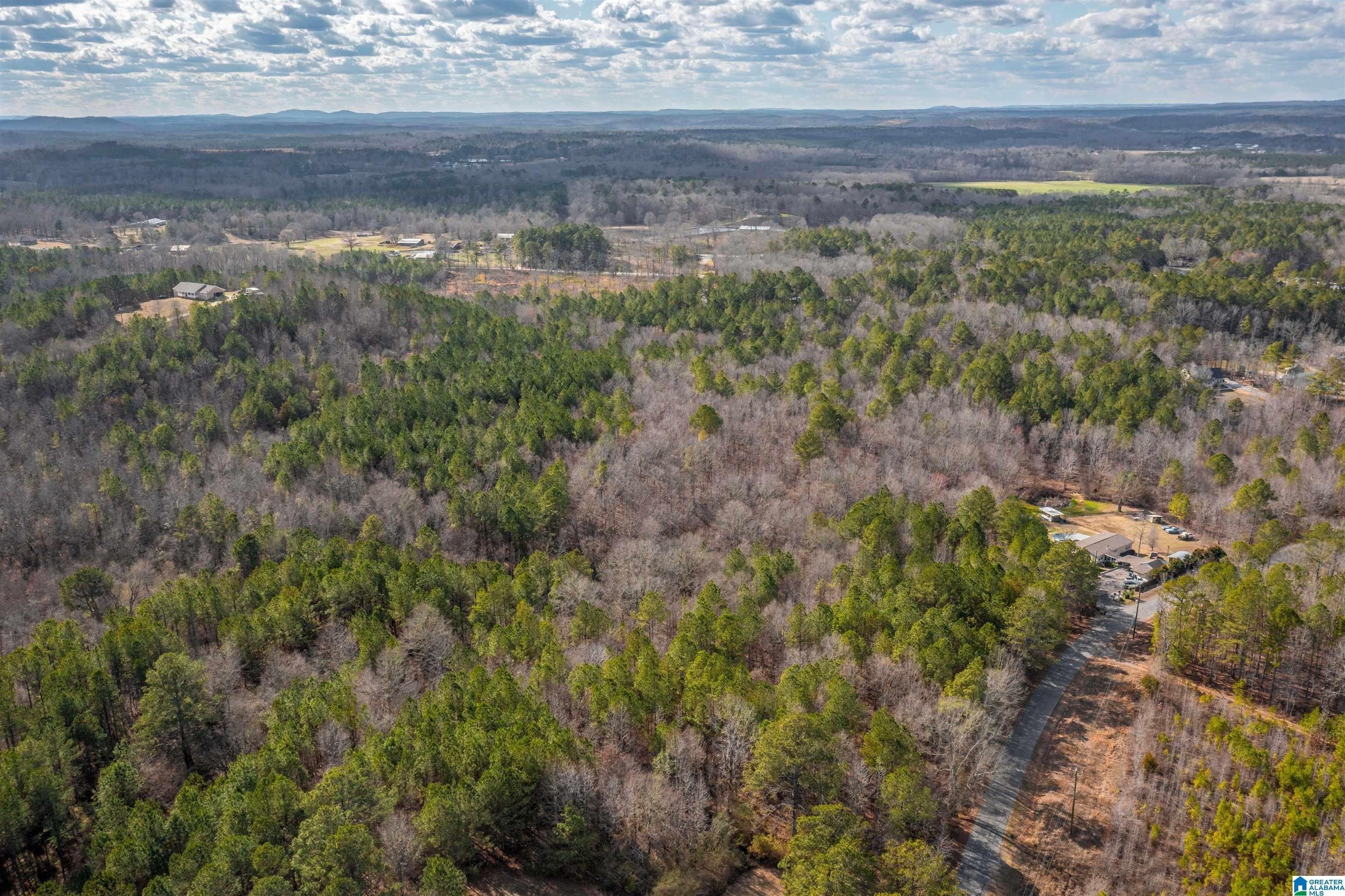 0 FRANCIS MILL ROAD, Ohatchee, AL 36271 | MLS: 21403041 | LandWatch