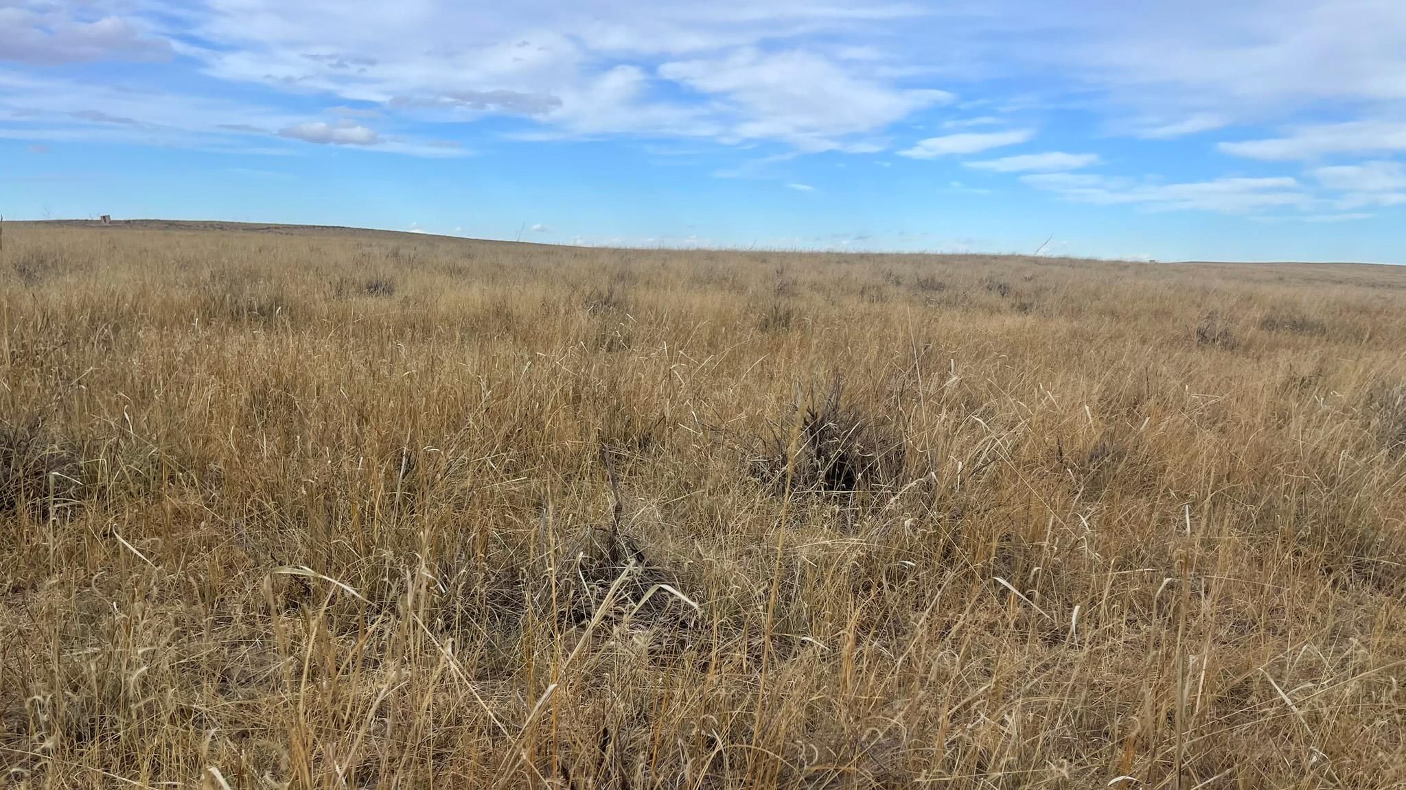 1,138 acres in Yuma, CO, 80759 | MLS: North Yuma County Pasture/Dryland ...