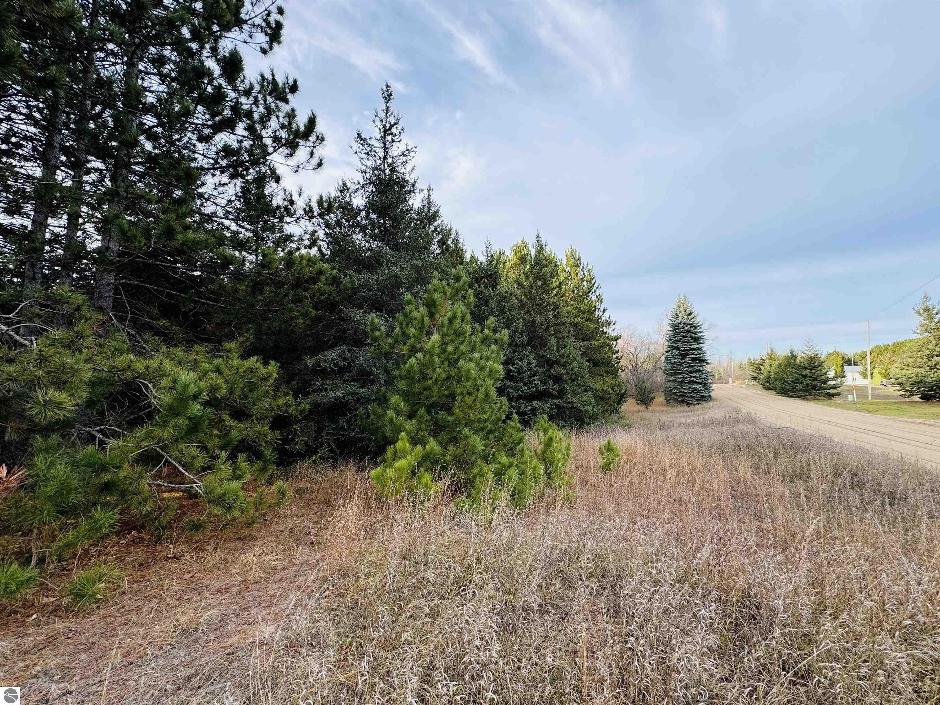 N 43 1/2 Road, Manton, MI 49663 | MLS: 1929108 | LandWatch