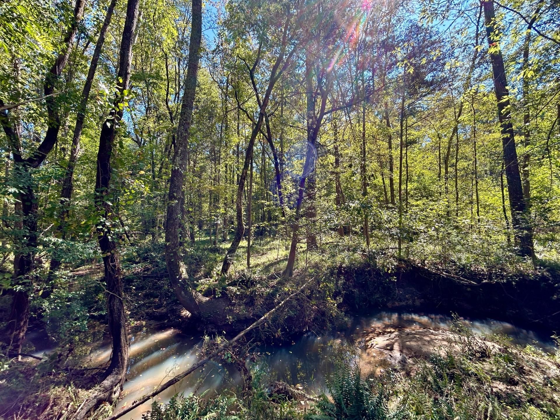 Silas Mercer Road Northeast, Crawfordville, GA 30631 | LandWatch