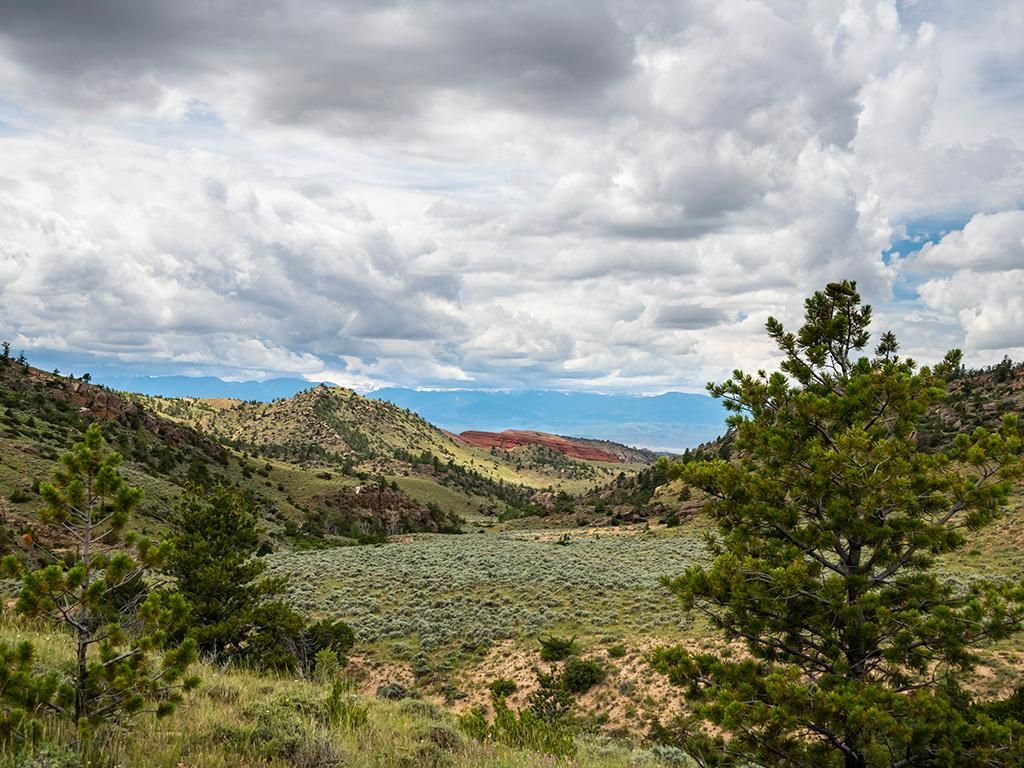 471 Pryor Mountain Road, Bridger, MT 59014 | LandWatch