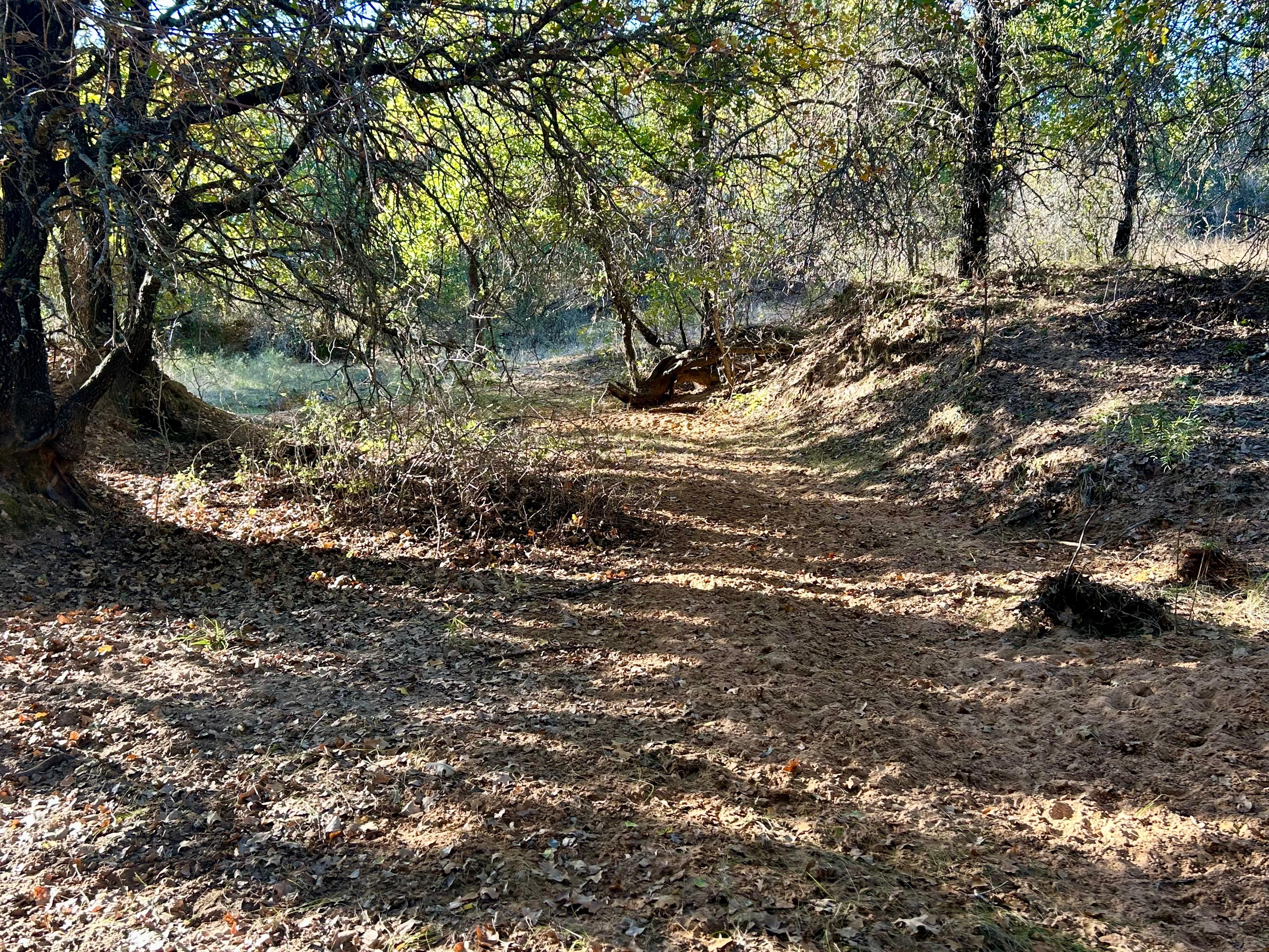 TBD County Road 357, Gorman, TX 76454 | LandWatch