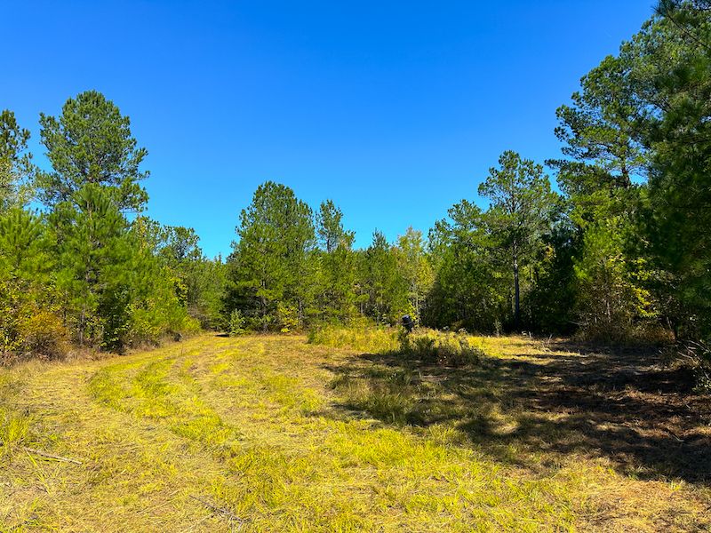 Spur Line Rd., Lot#WP001, Columbus, MS 39702 | LandWatch