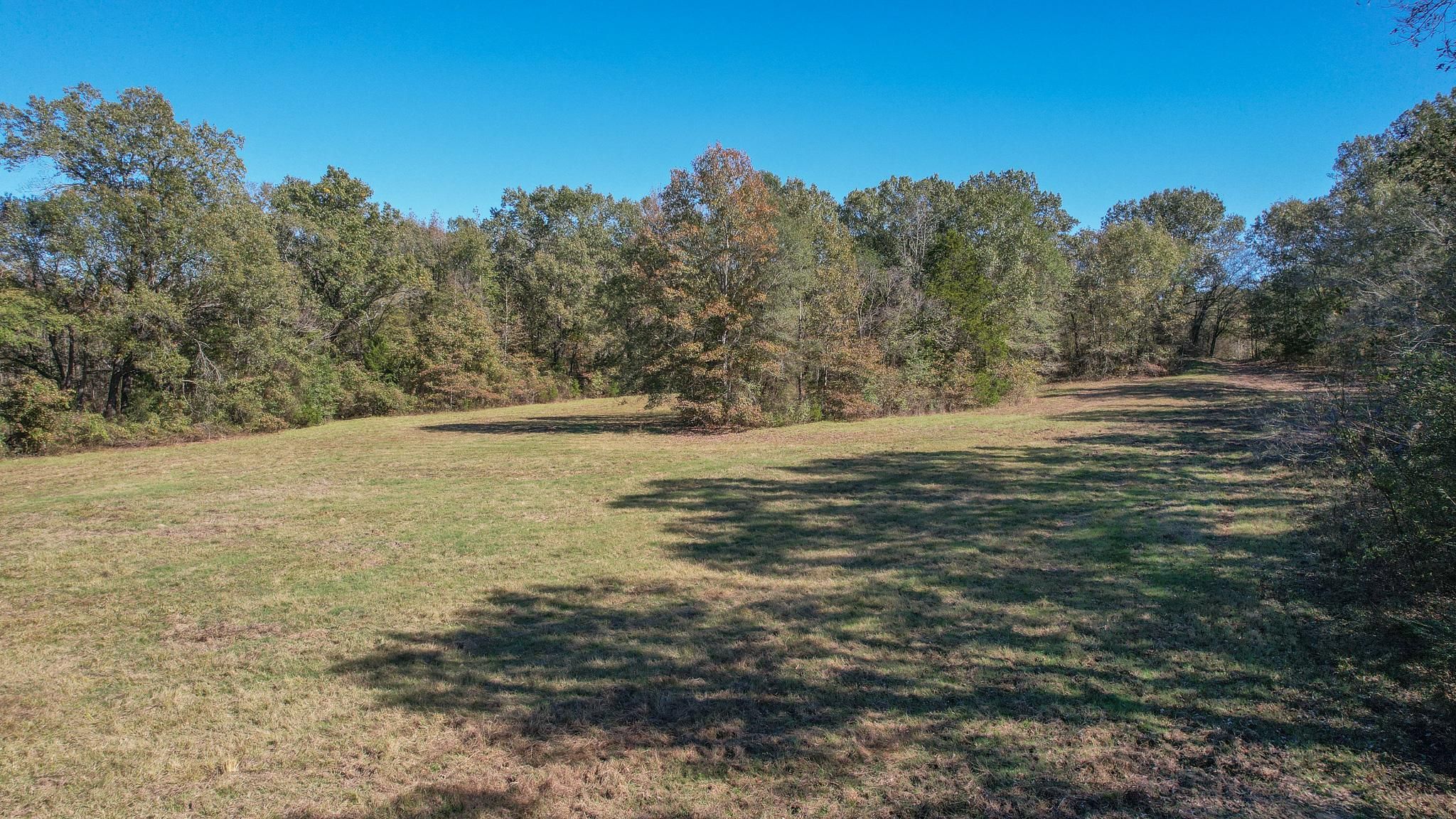 234 acres in Cookville, TX, 75558 | LandWatch